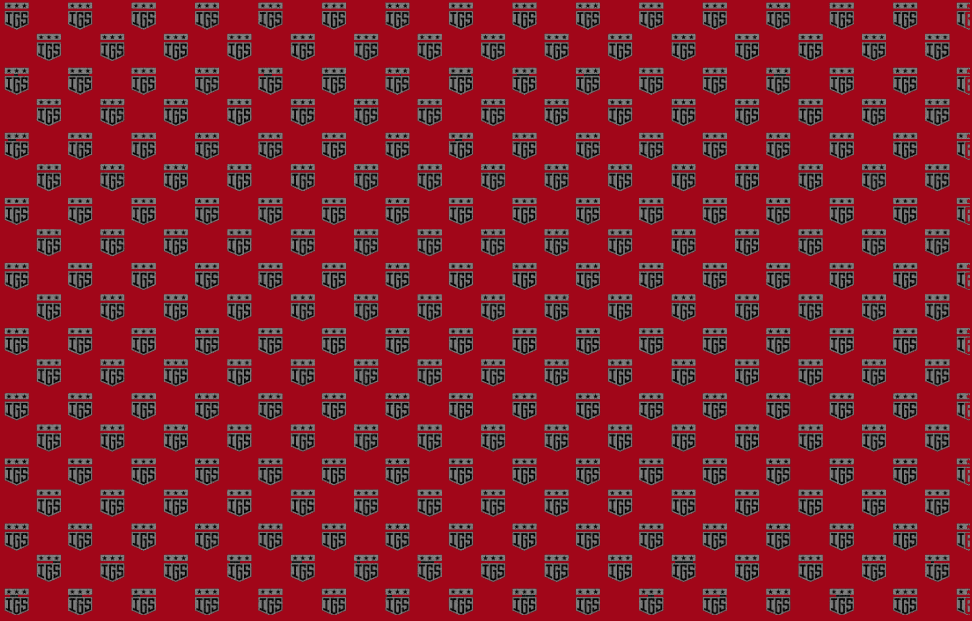 Security Guard Services in Houston TX | International Guard Services